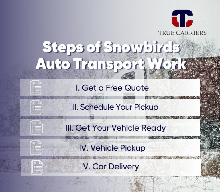 Best Snowbirds Auto Transport In 2024 - Get Your Quote